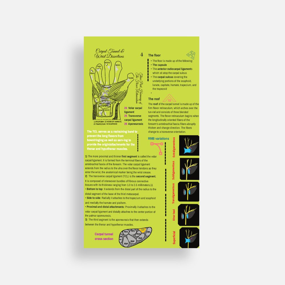 Illustrated Desktop Hand Book W/Pictorial Display - Hand in Mind