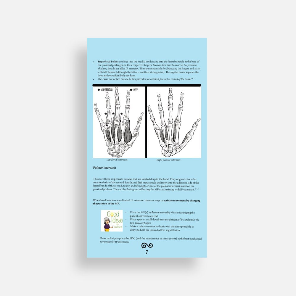 The Extensor Mechanism Booklet & pictorial display - Hand in Mind